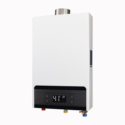 China Nominal Heat Input 21KW Power Vented Gas Water Heater 220V Energy Saving Hot Water System for Industrial Applications for sale