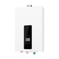 China Instant Tankless Forced Exhaust Gas Water Heater Featuring 60 MM Flue Size and Homeland Function for Heating Performance for sale