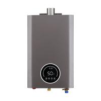 China 10 Liters Per Minute Capacity Gas Water Heater 21kW Heat Input Compact Design Fast Heating Ideal Commercial Applications for sale