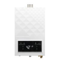 China LED Display Forced Vent Gas Water Heater Offering 10 Liters Per Minute Capacity Suitable for Various Water Heating Needs for sale