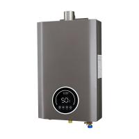 China 10 Liters Per Minute Capacity Gas Water Heater 21kW Heat Input Compact Design Fast Heating Ideal Commercial Applications for sale