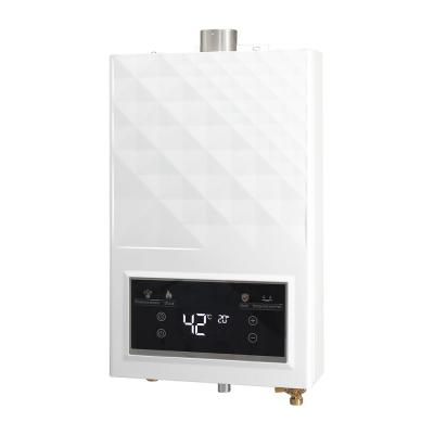 China LED Display Forced Vent Gas Water Heater Offering 10 Liters Per Minute Capacity Suitable for Various Water Heating Needs for sale