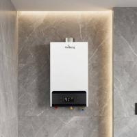 China Adjustable Thermostat Forced Exhaust Gas Water Heater Integrated with Flame Failure Protection Delivering Heating and Safety Features for sale