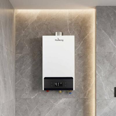 China Adjustable Thermostat Forced Exhaust Gas Water Heater Integrated with Flame Failure Protection Delivering Heating and Safety Features for sale