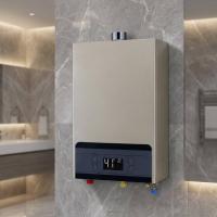 China Silk Screen Printing Gas Water Heater Offering Efficiency ≥93 Percent Designed for Continuous Hot Water Performance for sale