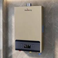 China 90MM Flue Dimension Power Vented Gas Water Heater Electronic Ignition Energy Solution for Commercial Water Heating Needs for sale
