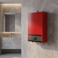 China Adjustable Thermostat Direct Vent Gas Water Heater Compact Size Space Saving Design Perfect for Tight Installation Areas for sale