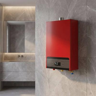 China Adjustable Thermostat Direct Vent Gas Water Heater Compact Size Space Saving Design Perfect for Tight Installation Areas for sale