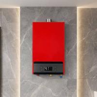 China Adjustable Thermostat Direct Vent Gas Water Heater Compact Size Space Saving Design Perfect for Tight Installation Areas for sale