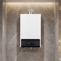 China NG Forced Vent Gas Water Heater Electronic Ignition Hot Water Solution Designed for Industrial and Commercial Facilities for sale