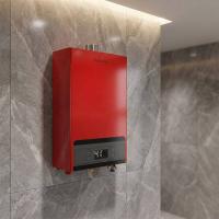 China Free Spare Part Offer 1 Percent According To The Total QTY Forced Exhaust Gas Water Heater Water Output Temperature Range 35 80 Degree Heat Input 20KW for sale