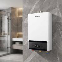 China Adjustable Thermostat Forced Exhaust Gas Water Heater Integrated with Flame Failure Protection Delivering Heating and Safety Features for sale