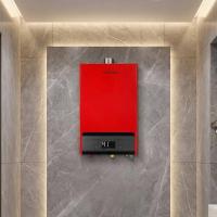 China Free Spare Part Offer 1 Percent According To The Total QTY Forced Exhaust Gas Water Heater Water Output Temperature Range 35 80 Degree Heat Input 20KW for sale