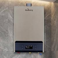 China 90MM Flue Dimension Power Vented Gas Water Heater Electronic Ignition Energy Solution for Commercial Water Heating Needs for sale