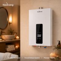China LED Display Forced Exhaust Gas Water Heater Offering Water Output Temperature Range 35 to 80 Degree and Gas Pressure NG 2000Pa Designed for Heating for sale