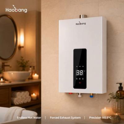 China LED Display Forced Exhaust Gas Water Heater Offering Water Output Temperature Range 35 to 80 Degree and Gas Pressure NG 2000Pa Designed for Heating for sale