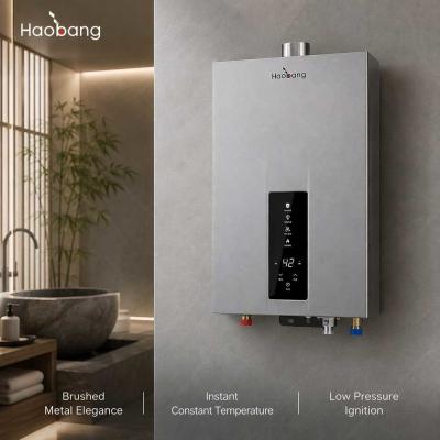China 002pa Forced Exhaust Gas Water Heater providing 10L Min Water Capacity and Water Output Temperature Range 35 to 80 Degree for Industrial Heating for sale