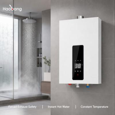 China 0.02-0.8pa Power Vented Gas Water Heater Instant Heating Method Designed To Meet Strict Safety And Performance Standards for sale