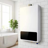 China Flue Size 50 MM Forced Exhaust Gas Water Heater IPX2 Waterproof 10 Liters Capacity Commercial Water Heating Equipment for sale