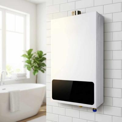 China Forced Exhaust Type Forced Exhaust Gas Water Heater with Automatic Electrical Pulse Ignition Providing Stable and Thermal Output for sale
