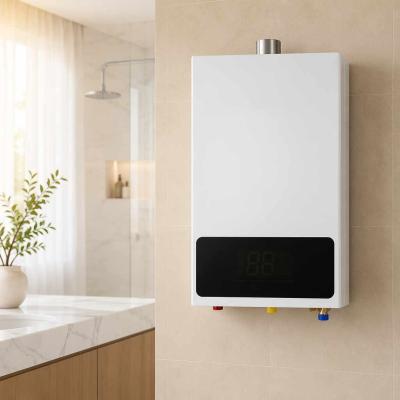 China Flue Size 50 MM Forced Exhaust Gas Water Heater IPX2 Waterproof 10 Liters Capacity Commercial Water Heating Equipment for sale
