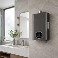 China Flue Size 60 MM 50 MM Forced Exhaust Gas Water Heater Water Flow Rate 2.64 GPM Temperature Range 35 80 Degree Thermal Management for sale