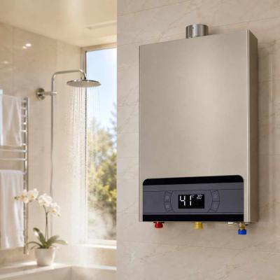 China Water Flow Rate 2.64 GPM Forced Exhaust Gas Water Heater Featuring Energy Saving and 10 Liters Capacity for Water Heating for sale