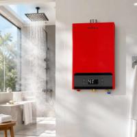 China Optional Protection Forced Exhaust Gas Water Heater Featuring 10 Liters Capacity and 2.64 GPM Water Flow Rate Suitable for Commercial for sale
