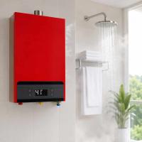 China Water Flow Rate 2.64 GPM Forced Exhaust Gas Water Heater Capacity 10 Liters Featuring Energy Saving On Demand Operation for Heating for sale