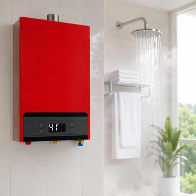 China Water Flow Rate 2.64 GPM Forced Exhaust Gas Water Heater Capacity 10 Liters Featuring Energy Saving On Demand Operation for Heating for sale