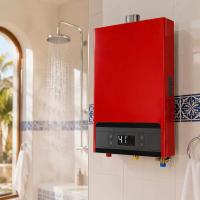 China Water Flow Rate 2.64 GPM Forced Exhaust Gas Water Heater Capacity 10 Liters Featuring Energy Saving On Demand Operation for Heating for sale