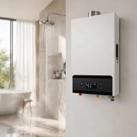 China 10 Liters Capacity Forced Exhaust Gas Water Heater Incorporating Forced Ventilation Fan System and 00208Mpa Pressure for Operation for sale