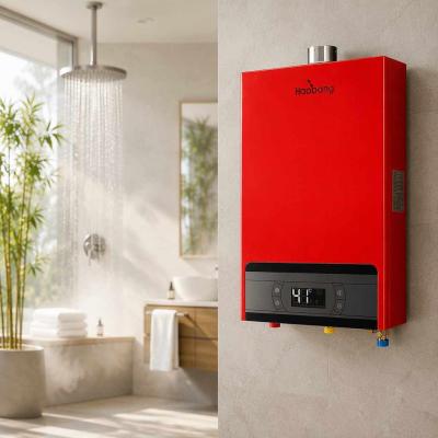 China Optional Protection Forced Exhaust Gas Water Heater Featuring 10 Liters Capacity and 2.64 GPM Water Flow Rate Suitable for Commercial for sale
