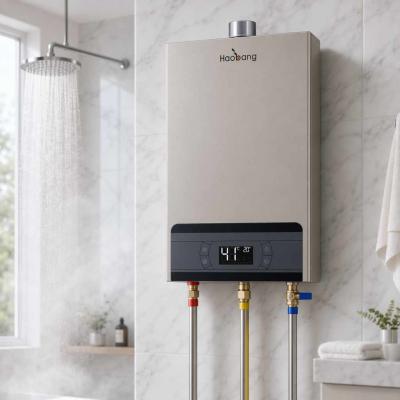 China Temperature Range 35 to 80 Degree Forced Exhaust Gas Water Heater Varies By Model Loading Quantity 40HQ 780 PCS Ideal For Commercial for sale