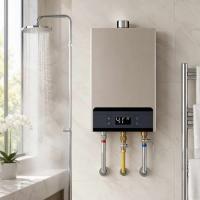 China Plate Iron Forced Exhaust Gas Water Heater Including Flue Dimension 50MM 60MM 90MM and Summer Winter Mode Support Switch Designed for Heating for sale