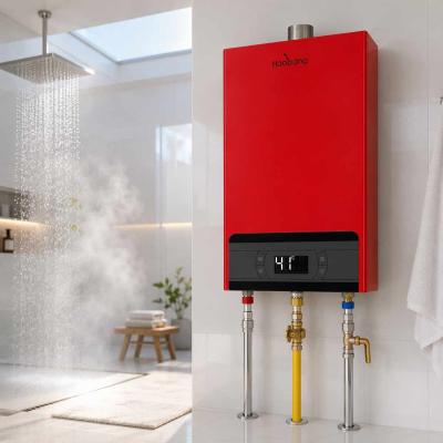 China 10L Power Vented Gas Water Heater Providing 2.64 GPM Water Flow Rate Suitable for Various Commercial Water Heating Needs for sale