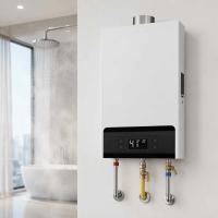 China 220V Forced Exhaust Gas Water Heater Equipped with Touch Panel Control Method and Wide Temperature Range 35 to 80 Degree for sale