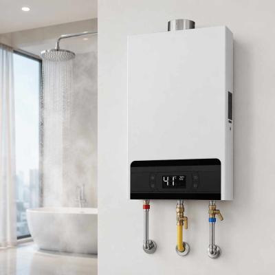 China 220V Forced Exhaust Gas Water Heater Equipped with Touch Panel Control Method and Wide Temperature Range 35 to 80 Degree for sale