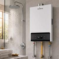 China Chimney Size 60mm Forced Exhaust Gas Water Heater Featuring Summer Winter Mode Support Switch Engineered for Performance for sale