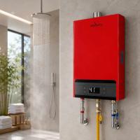 China Varies By Model Forced Exhaust Gas Water Heater Offering Flue Dimension 50MM 60MM 90MM Loading Quantity 40HQ 780 PCS Built for Long Term for sale