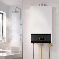China 220V Forced Exhaust Gas Water Heater Equipped with Touch Panel Control Method and Wide Temperature Range 35 to 80 Degree for sale