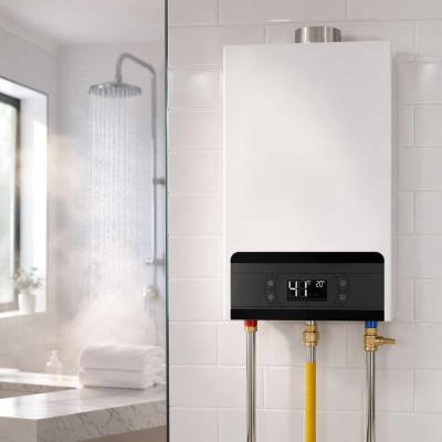 China Loading Quantity 40HQ 780 PCS Direct Vent Gas Water Heater 10L Volume Optimized for Commercial Providing and Water Heating for sale