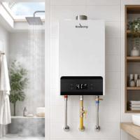 China Chimney Size 60mm Forced Exhaust Gas Water Heater Featuring Summer Winter Mode Support Switch Engineered for Performance for sale