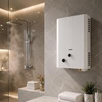 China Temperature Range 35°C-65°C Flue Gas Water Heater With Wall Hanging Installation and 84 Percent Efficiency Designed for Operation for sale
