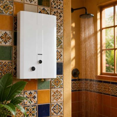 China Rated Gas Pressure LPG 2800pa NG 2000pa Flue Gas Water Heater Industrial Water Heating Capacity 6L Energy Saving Solution for sale