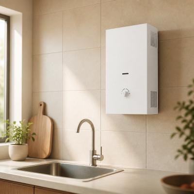 China Natural Gas Flue Gas Water Heater Featuring Automatic Electronic Pulse Ignition and Wall Hanging Installation Designed for Energy for sale