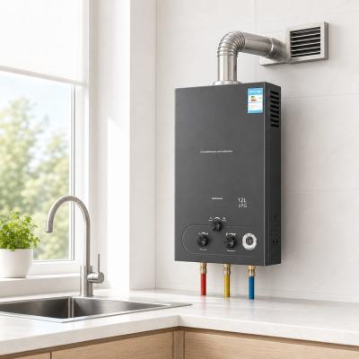 China Low Water Pressure Start Gas Geyser Utilizing Copper Heat Exchange Material Delivering Hot Water Heating in Industrial Settings for sale