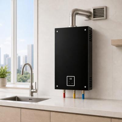 China 3 Burner Number Flue Gas Water Heater Incorporating Copper Heat Exchange Material and All Color Will Be for Performance for sale
