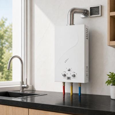 China Electric Power Source Instant Gas Water Heater Designed with Automatic Pulse Ignition Offering Operation and Energy Hot Water Solutions for sale