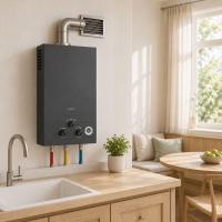 China Low Water Pressure Start Gas Geyser Utilizing Copper Heat Exchange Material Delivering Hot Water Heating in Industrial Settings for sale